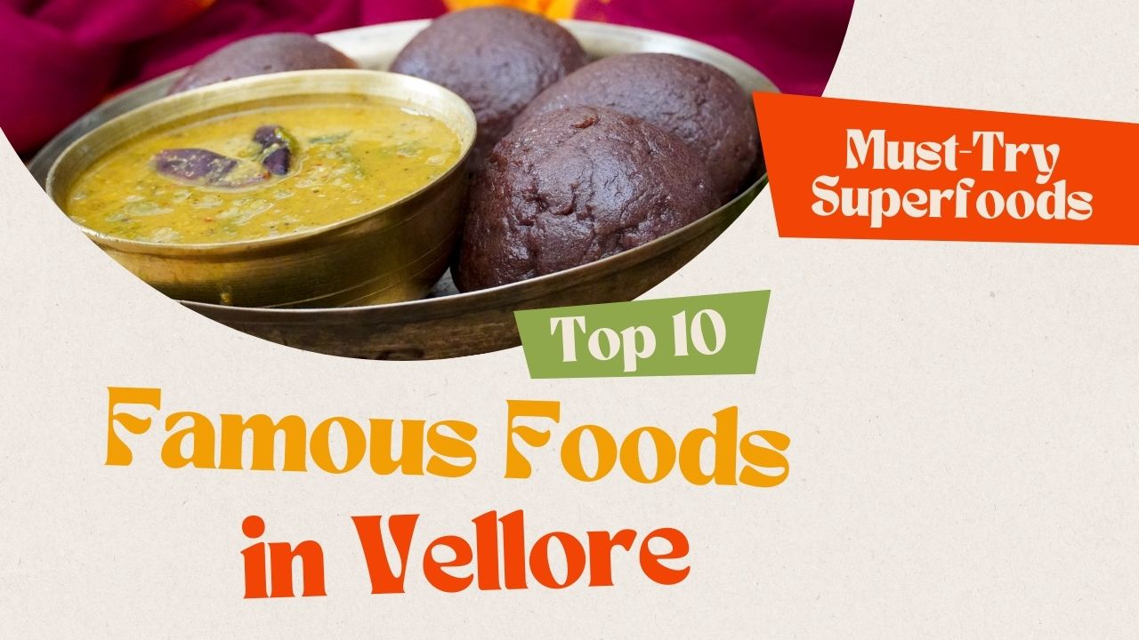 Top 10 Must-Try Foods in Vellore – A Foodie's Travel Guide